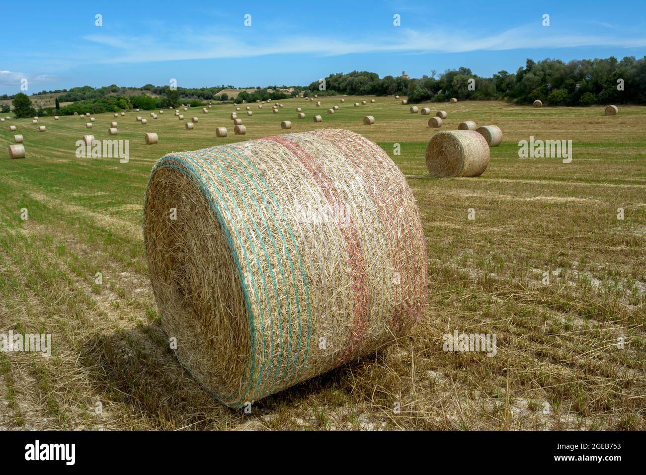 Stacks of straw - bales of hay, rolled into stacks left after ...