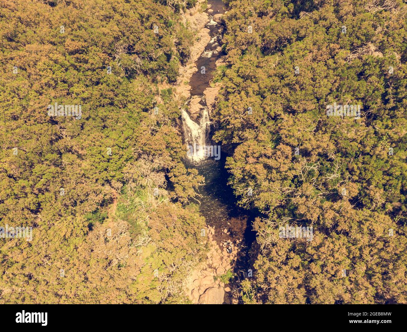 Drop down view of river runing through forest Stock Photo - Alamy
