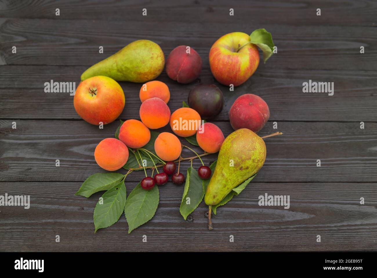 A set of various fruits arranged on a base of black boards. There is a ...