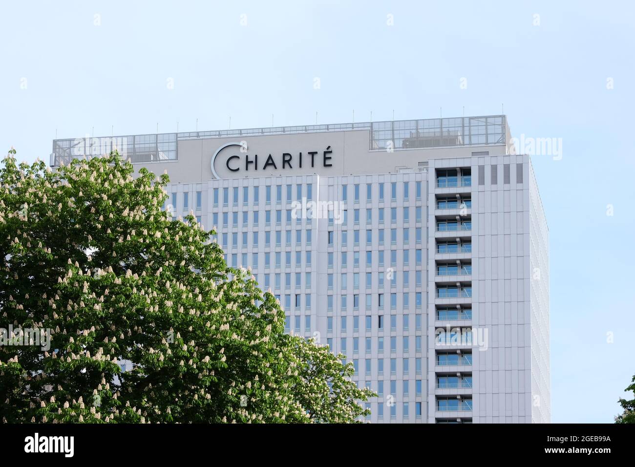 Charite University Medicine Berlin High Resolution Stock Photography ...