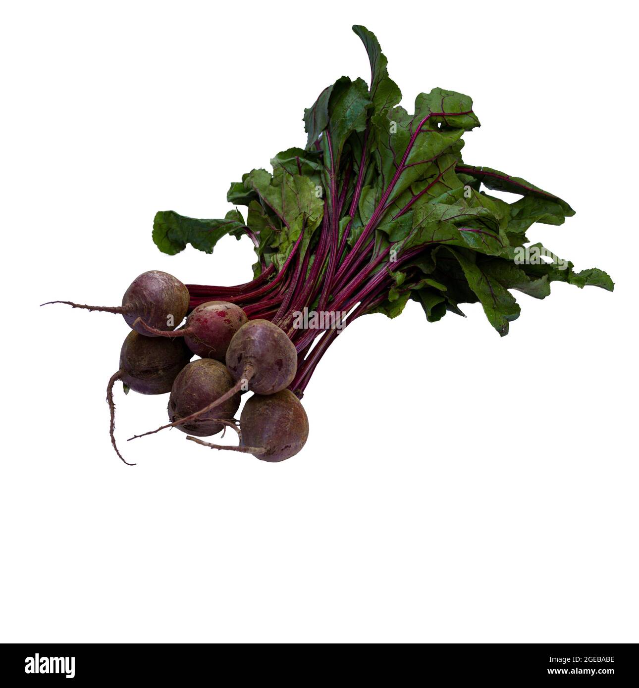 Red Beets still with their leaves on a White Background Stock Photo - Alamy