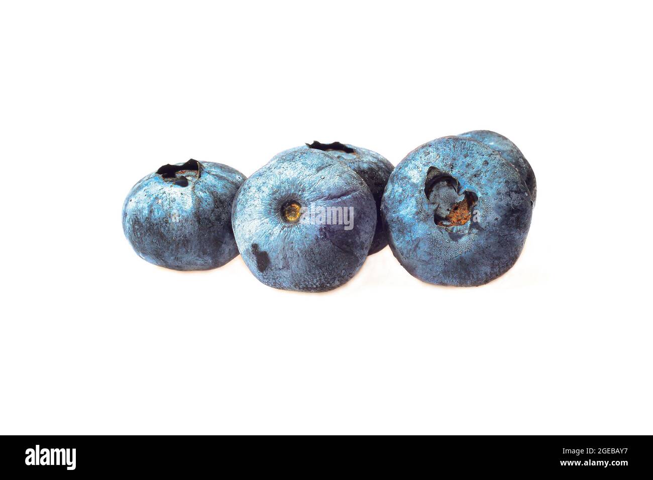 Picture with sweet blueberry isolated on white background Stock Photo ...