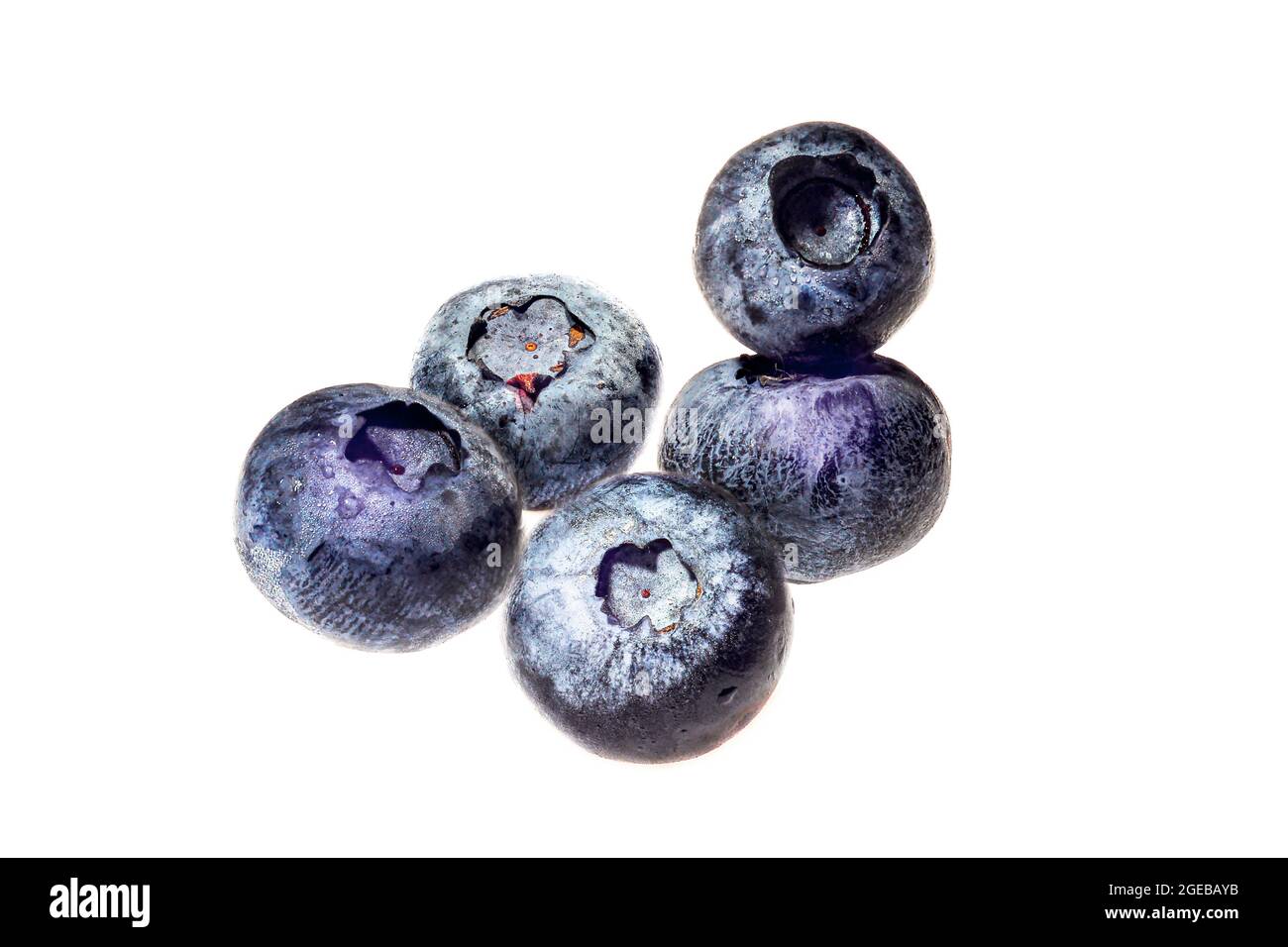 Blueberry top Cut Out Stock Images & Pictures - Alamy