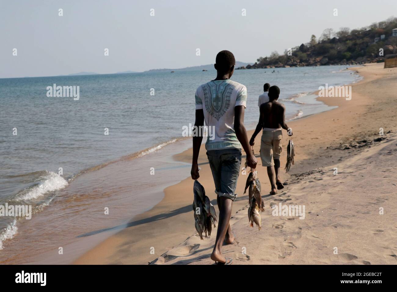 Fisherman are seen with fish on the beach at Senga Bay Salima, Lake ...