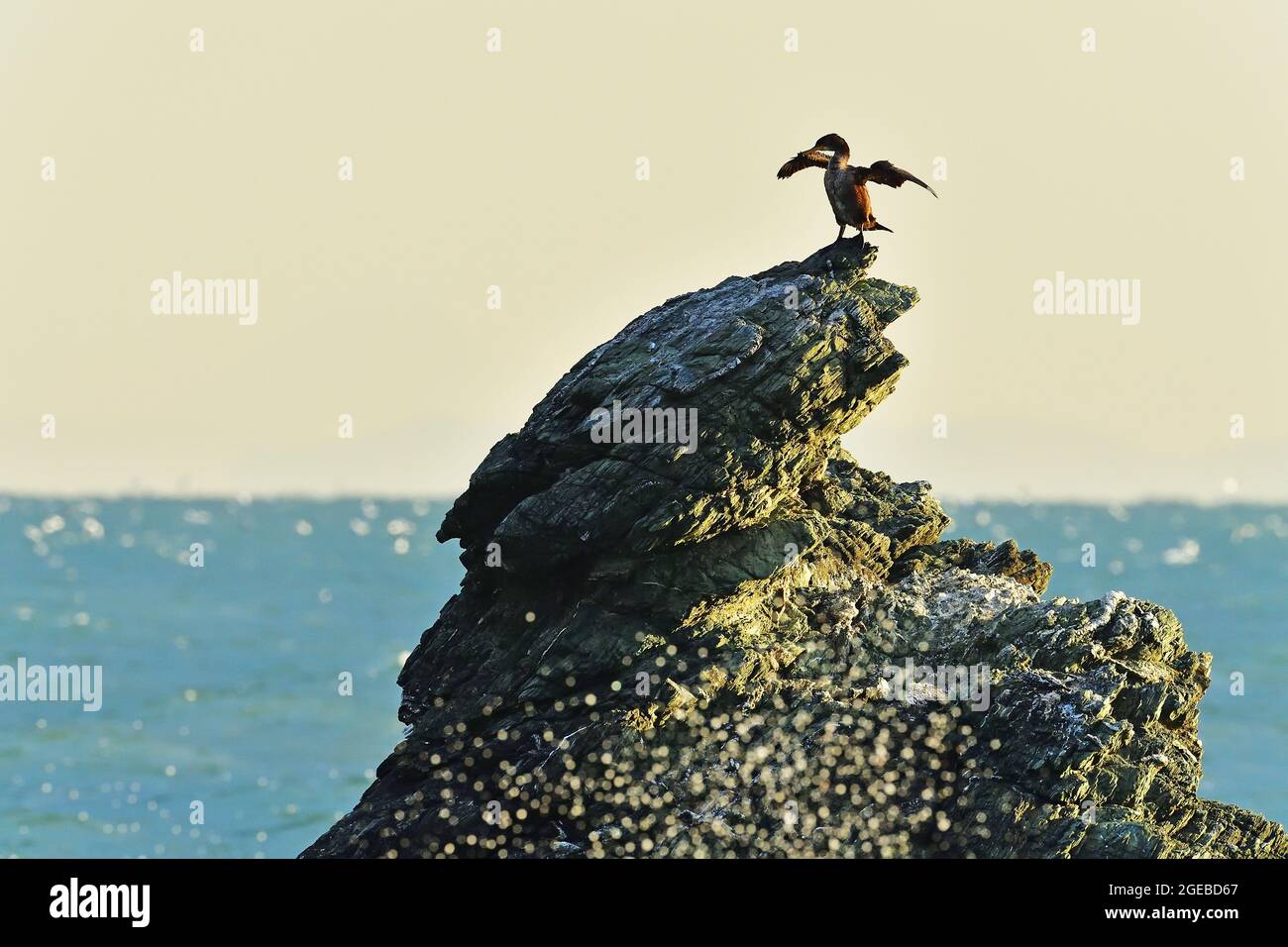 Eboshi rock hi-res stock photography and images - Alamy