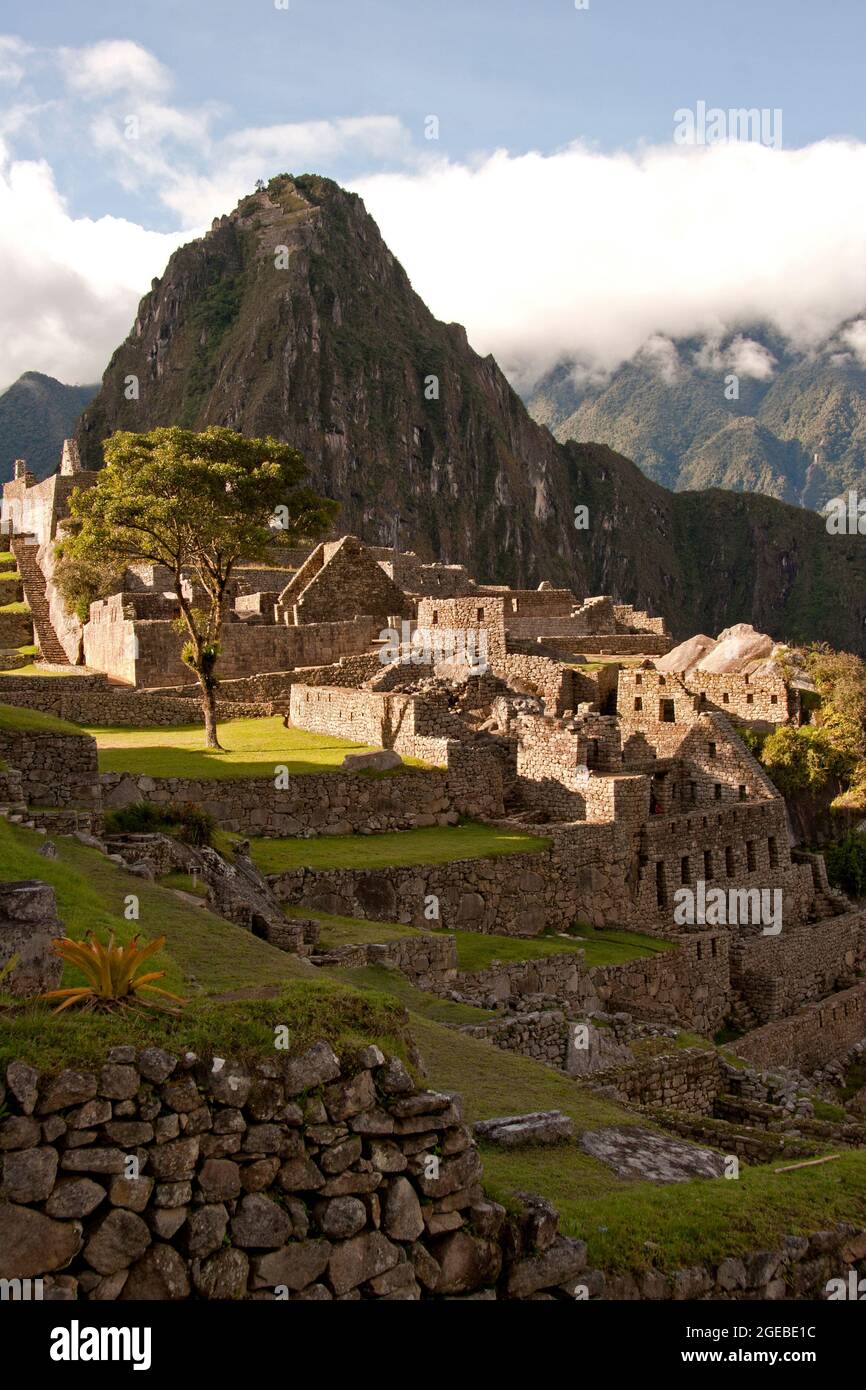 Peru machu picchu coca hi-res stock photography and images - Alamy