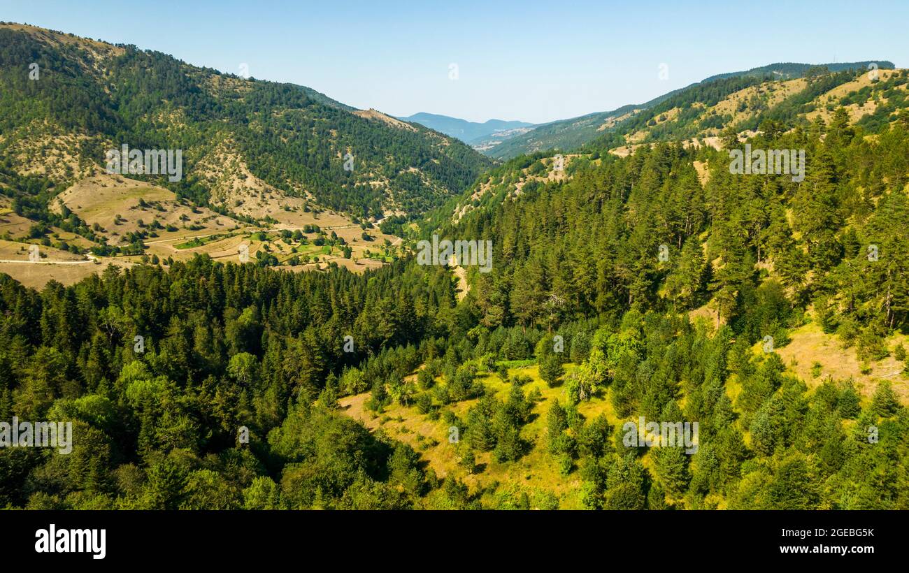 Forest and tree landscape texture background. Aerial top view of forest ...