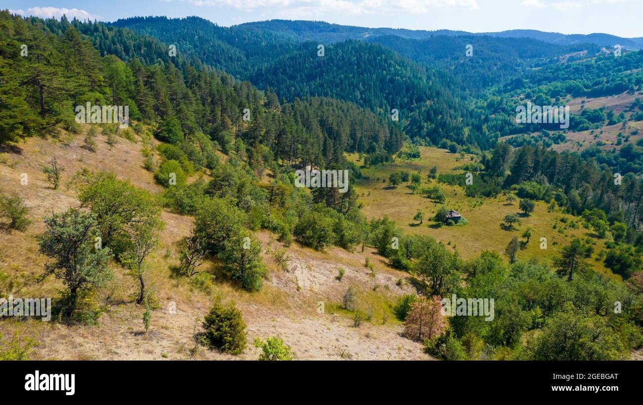 Forest and tree landscape texture background. Aerial top view of forest ...
