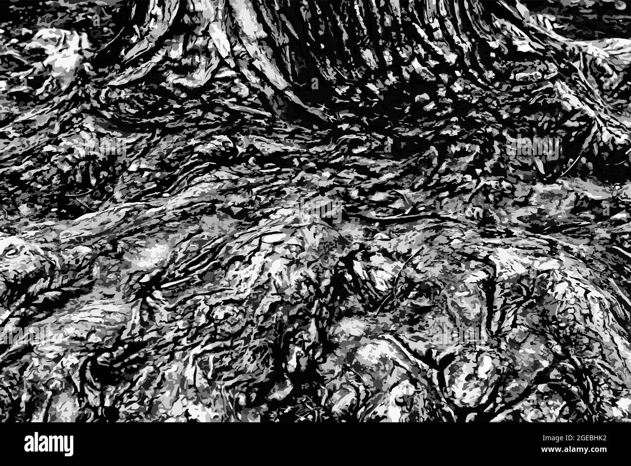 abstract black and white grunge background, intertwining tree roots ...