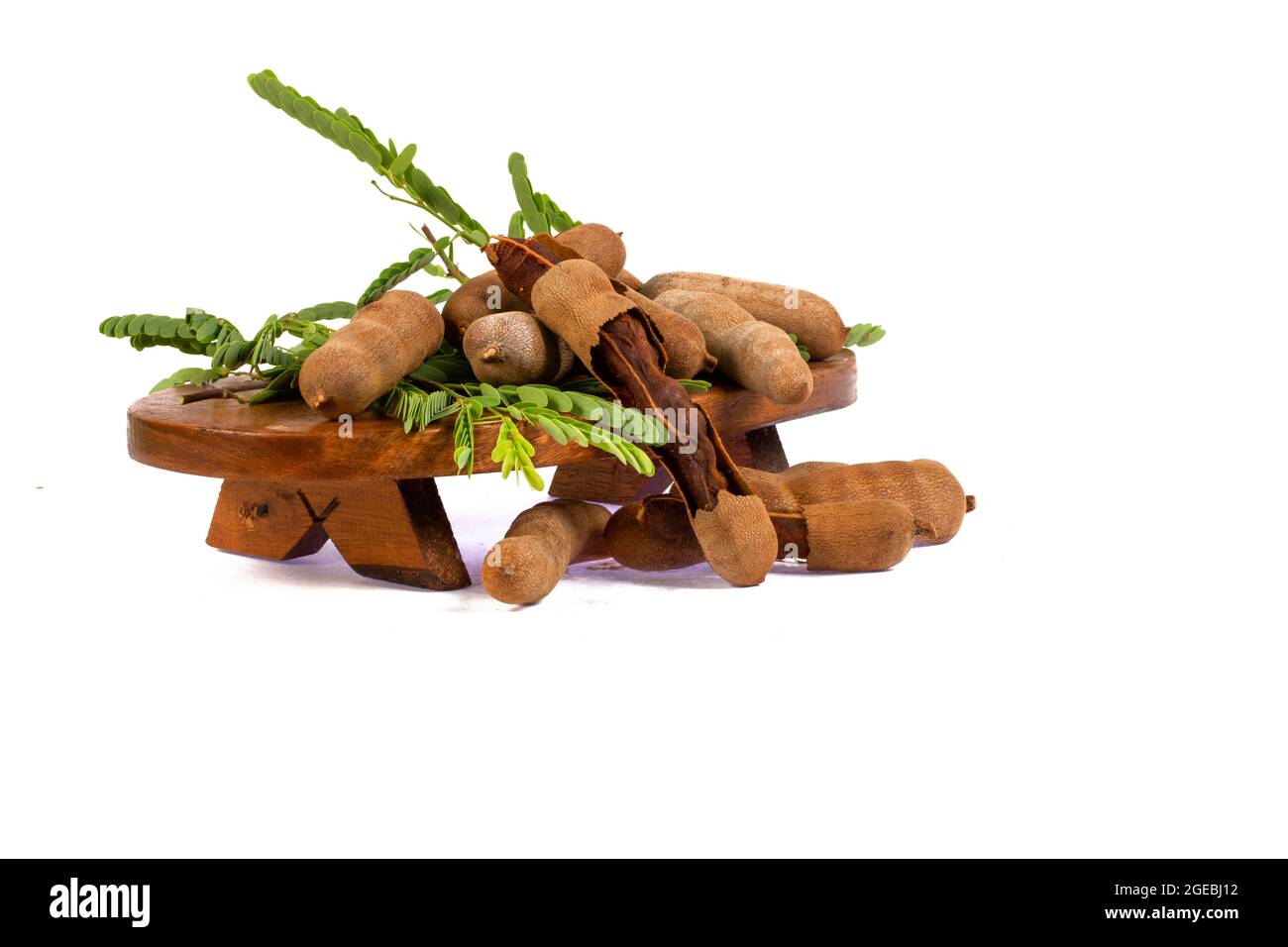 Tamarind plant hi-res stock photography and images - Alamy