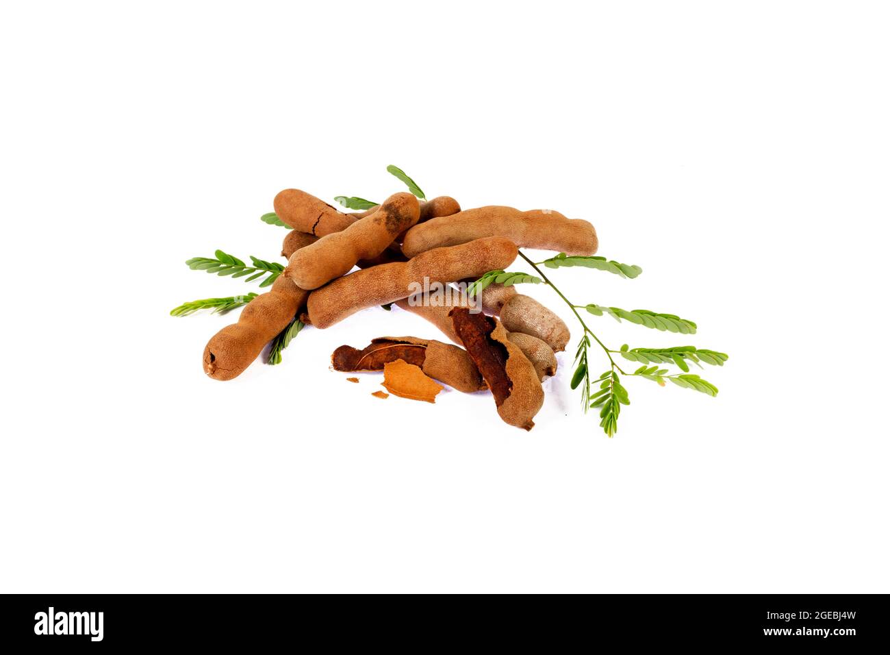 fruit tamarindus indica Sweet tamarind fruit in a basket, white ...