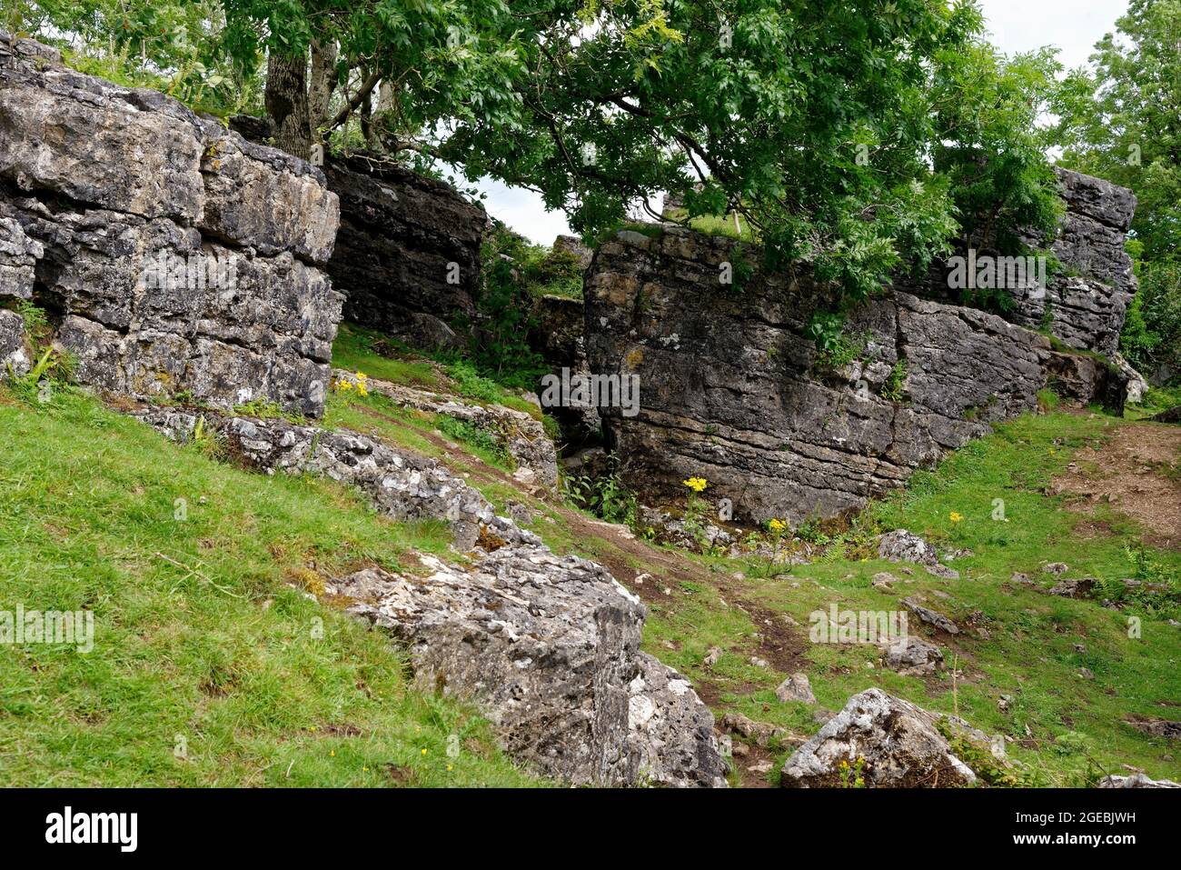 Ubley Warren Nature Reserve High Resolution Stock Photography and ...