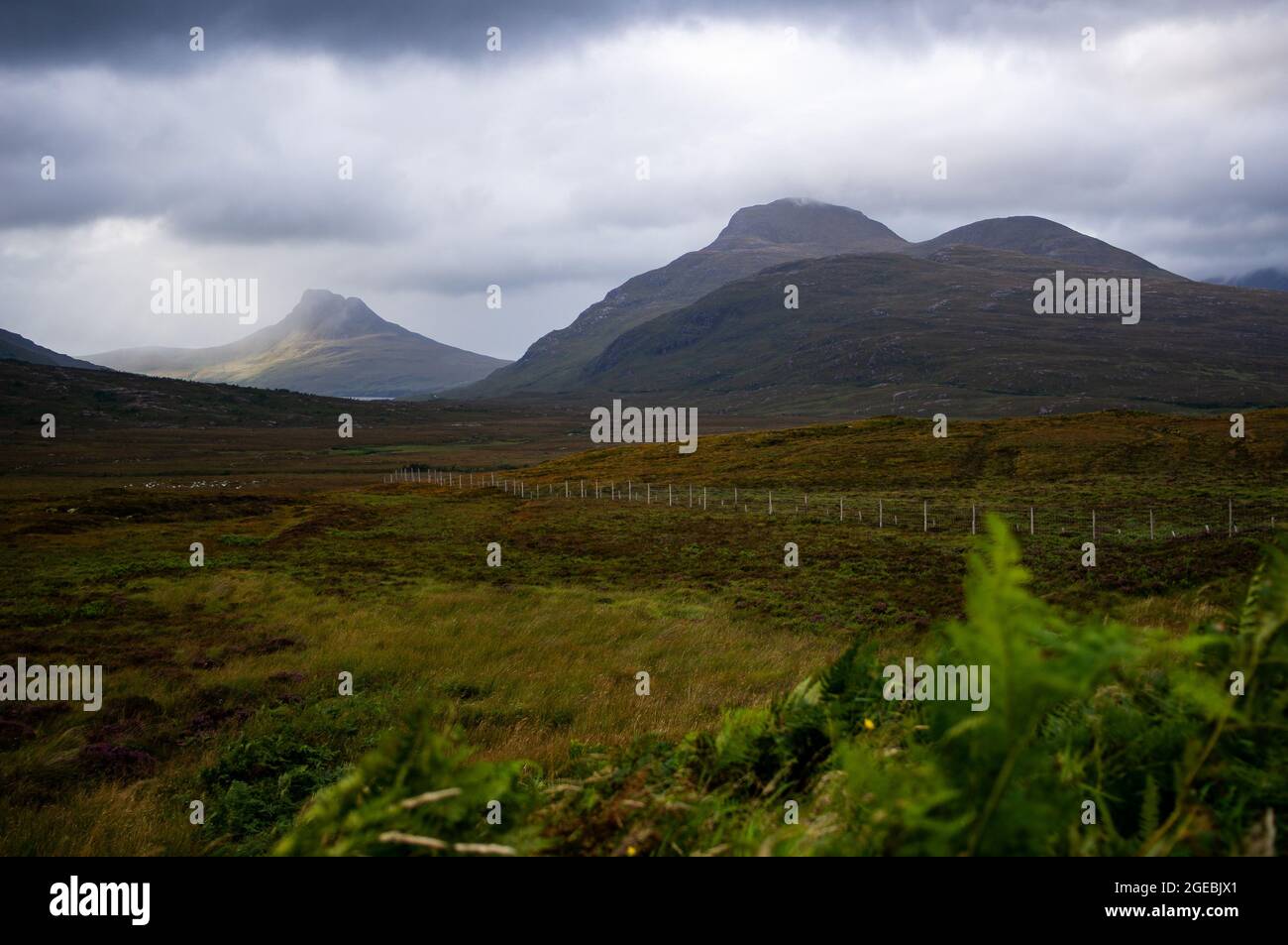 Scottish Highlands in the summer Stock Photo - Alamy