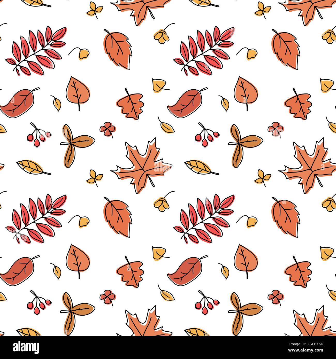 Autumn leaves pattern isolated vector illustration. Fall seamless ...