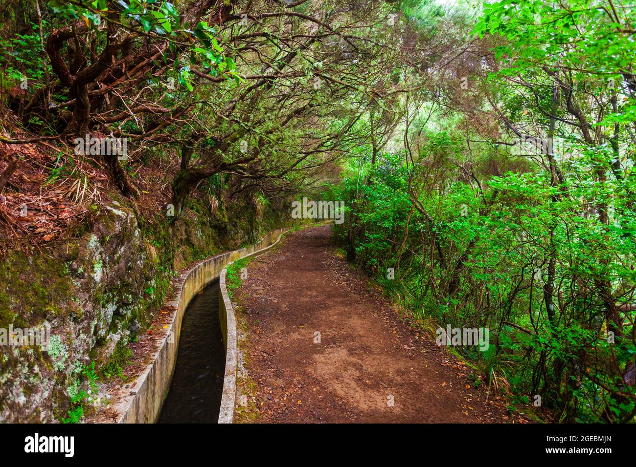 Hiking along levada irrigation channel at Madeira island in Portugal ...