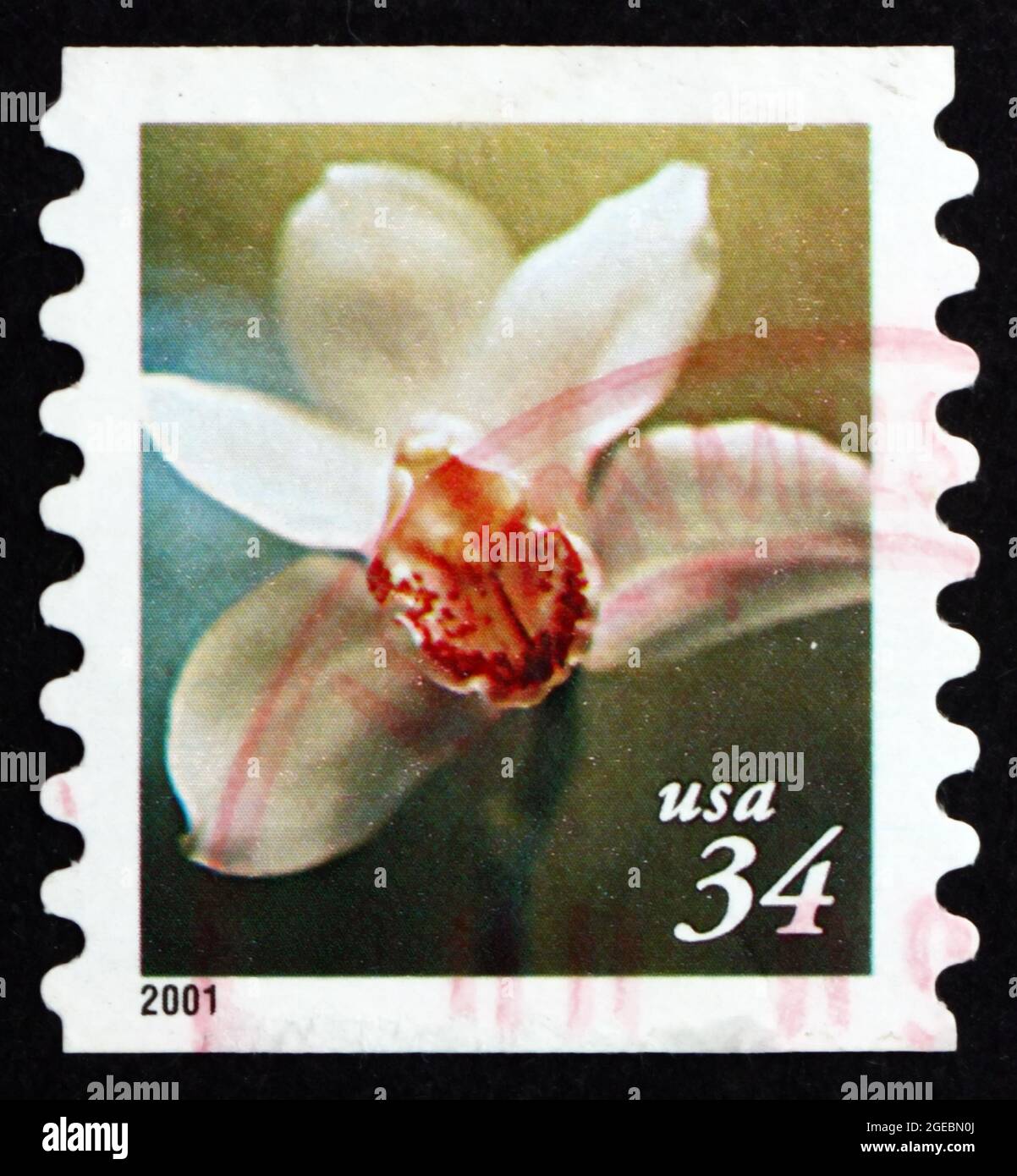 USA - CIRCA 2000: a stamp printed in the USA shows Flower, circa 2000 ...