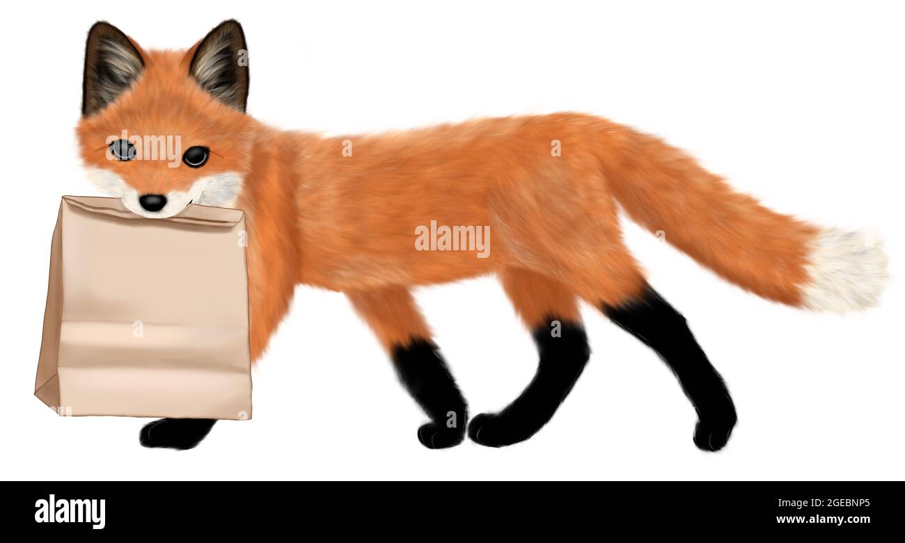 Cute fluffy fox delivery delivering food package Stock Photo - Alamy
