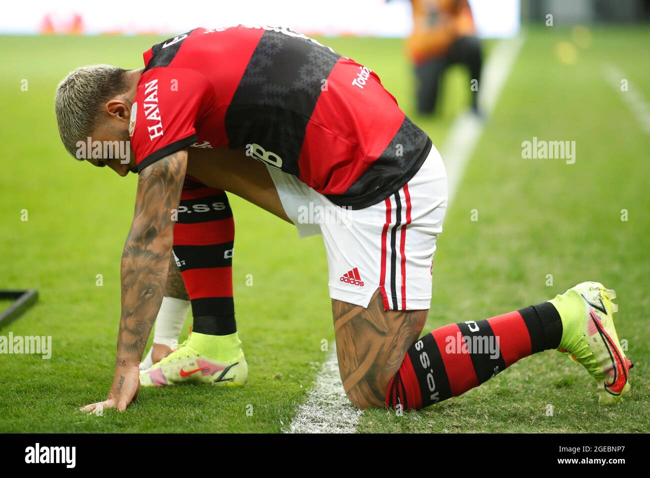 Estadio olimpia hi-res stock photography and images - Alamy