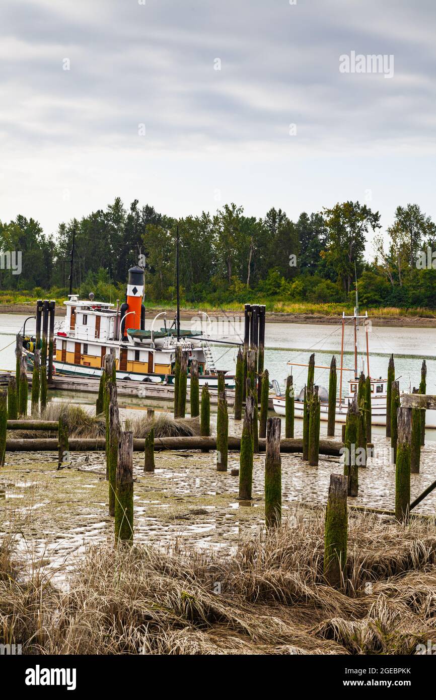 Moring low tide hi-res stock photography and images - Alamy
