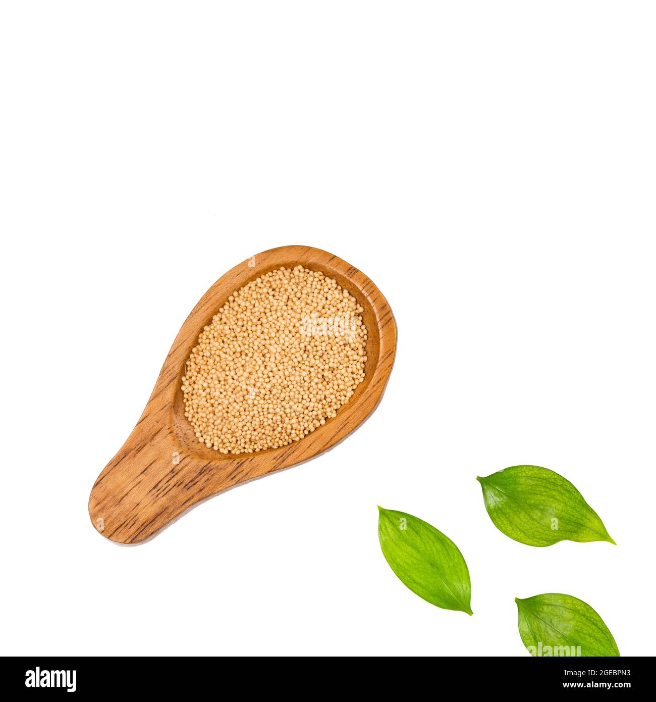 Dried organic amaranth seeds in the wooden spoon - Amaranthus Stock ...