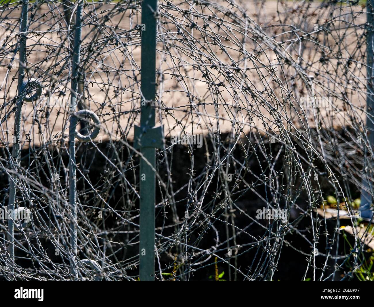 Barbed wire, WWII German remains, Crisbecq Battery, Manche department ...