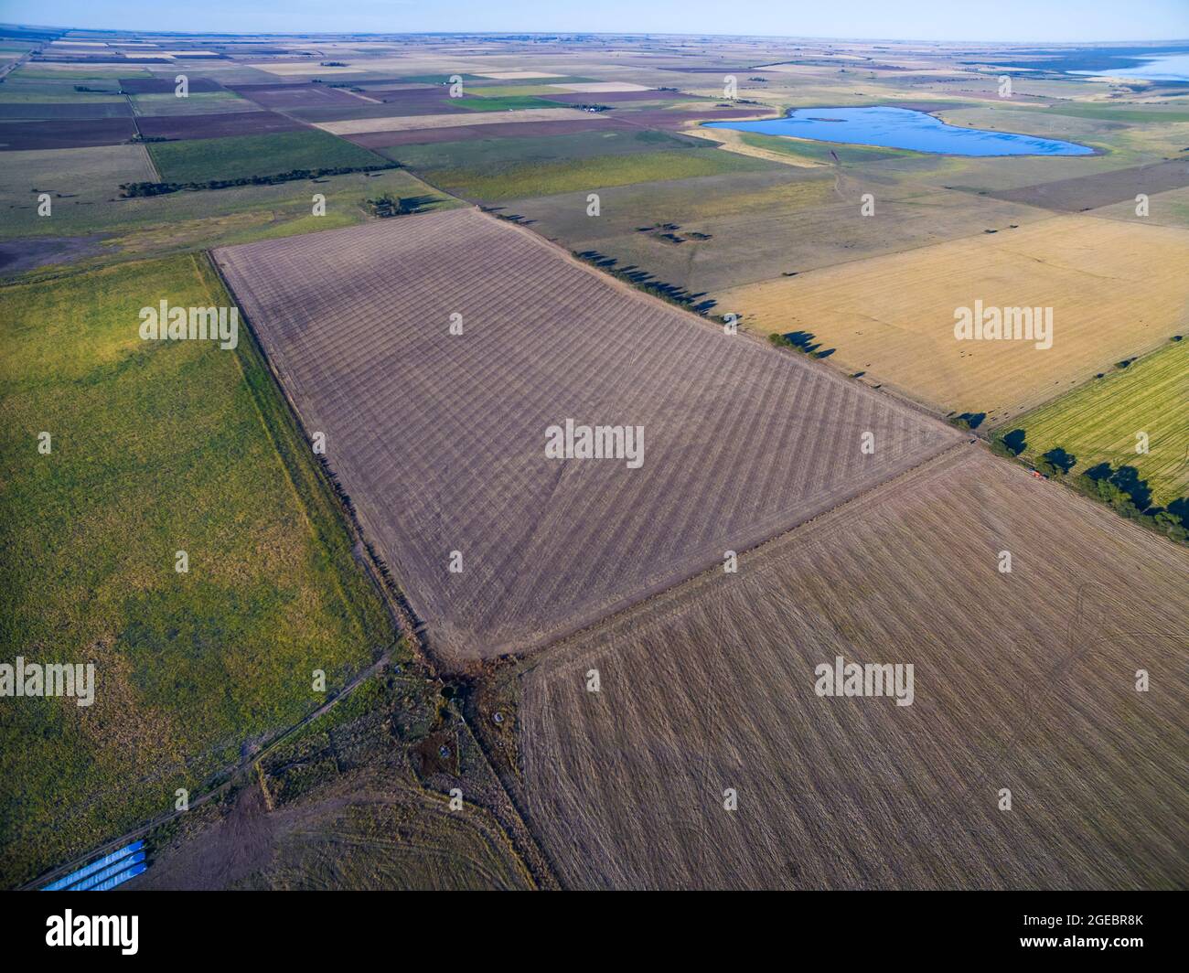 Aerial View of sown field in the Argentine countryside, Pampas province ...