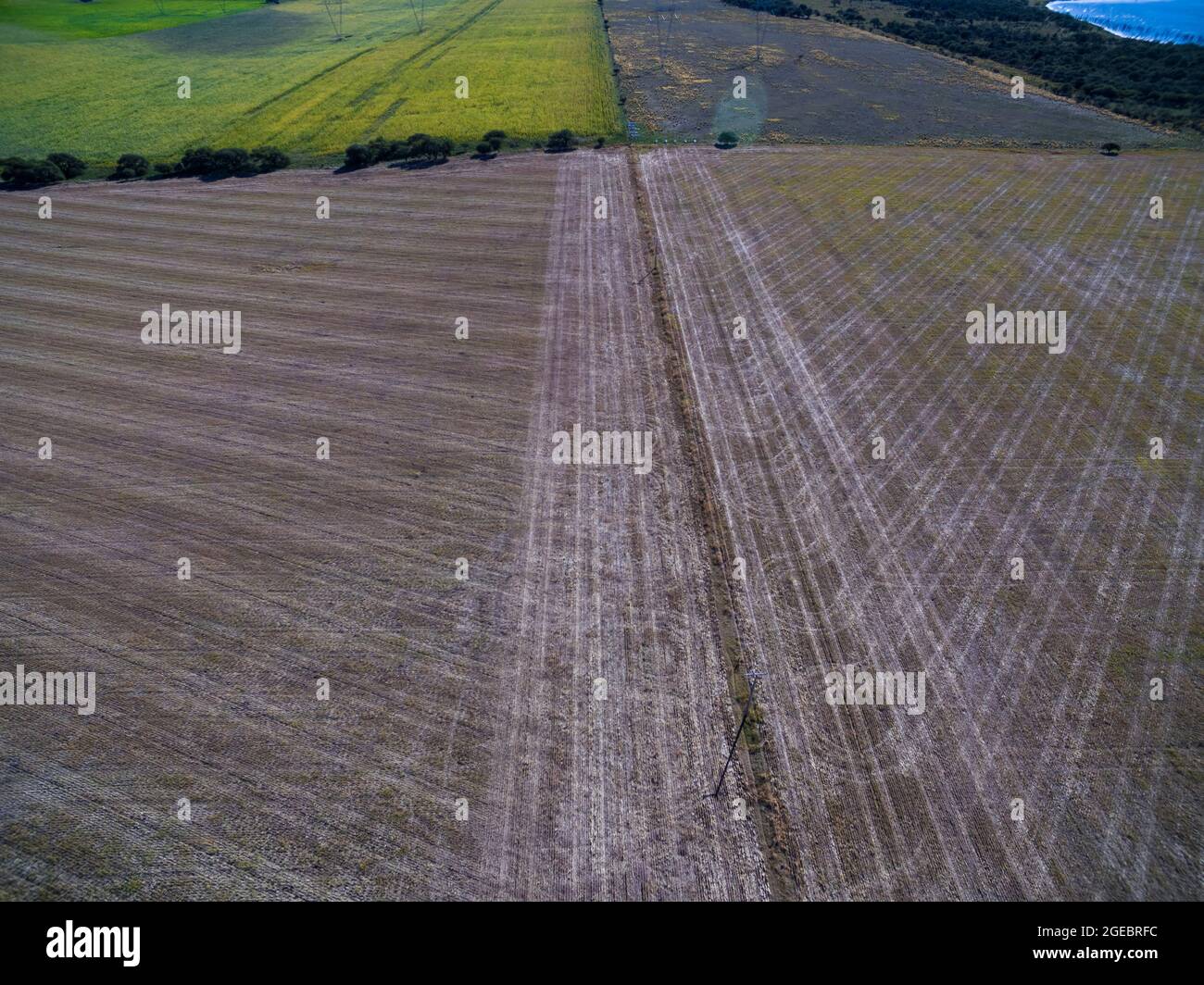 Aerial View of sown field in the Argentine countryside, Pampas province ...