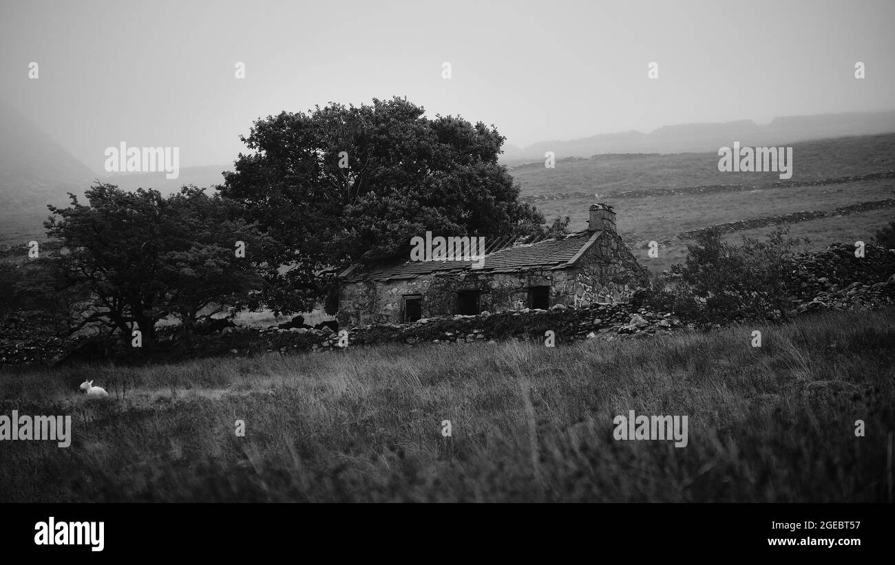 Ruined stone cottage hi-res stock photography and images - Alamy