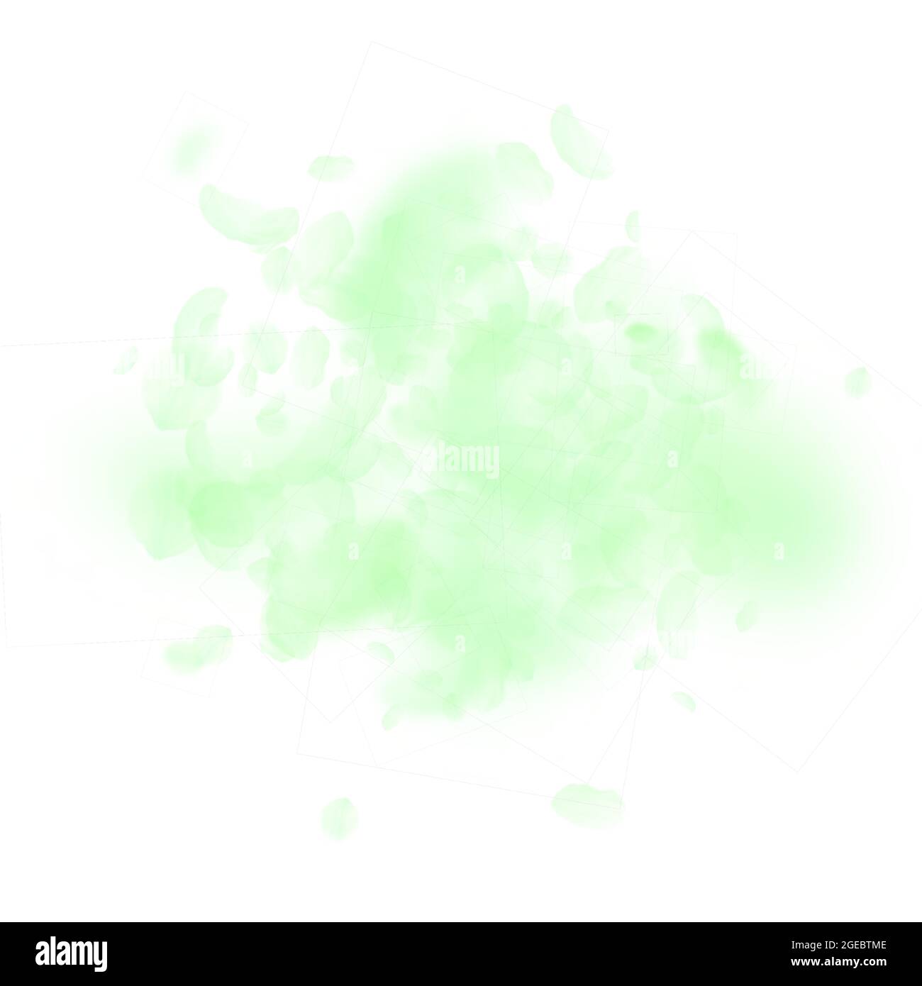 Attractive rose flower Stock Vector Images - Alamy