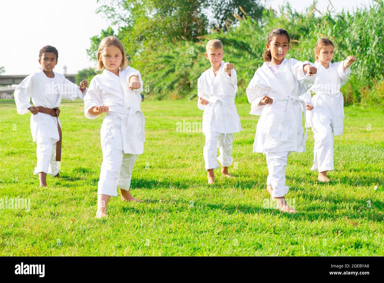 Positive children practicing karate in park Stock Photo - Alamy