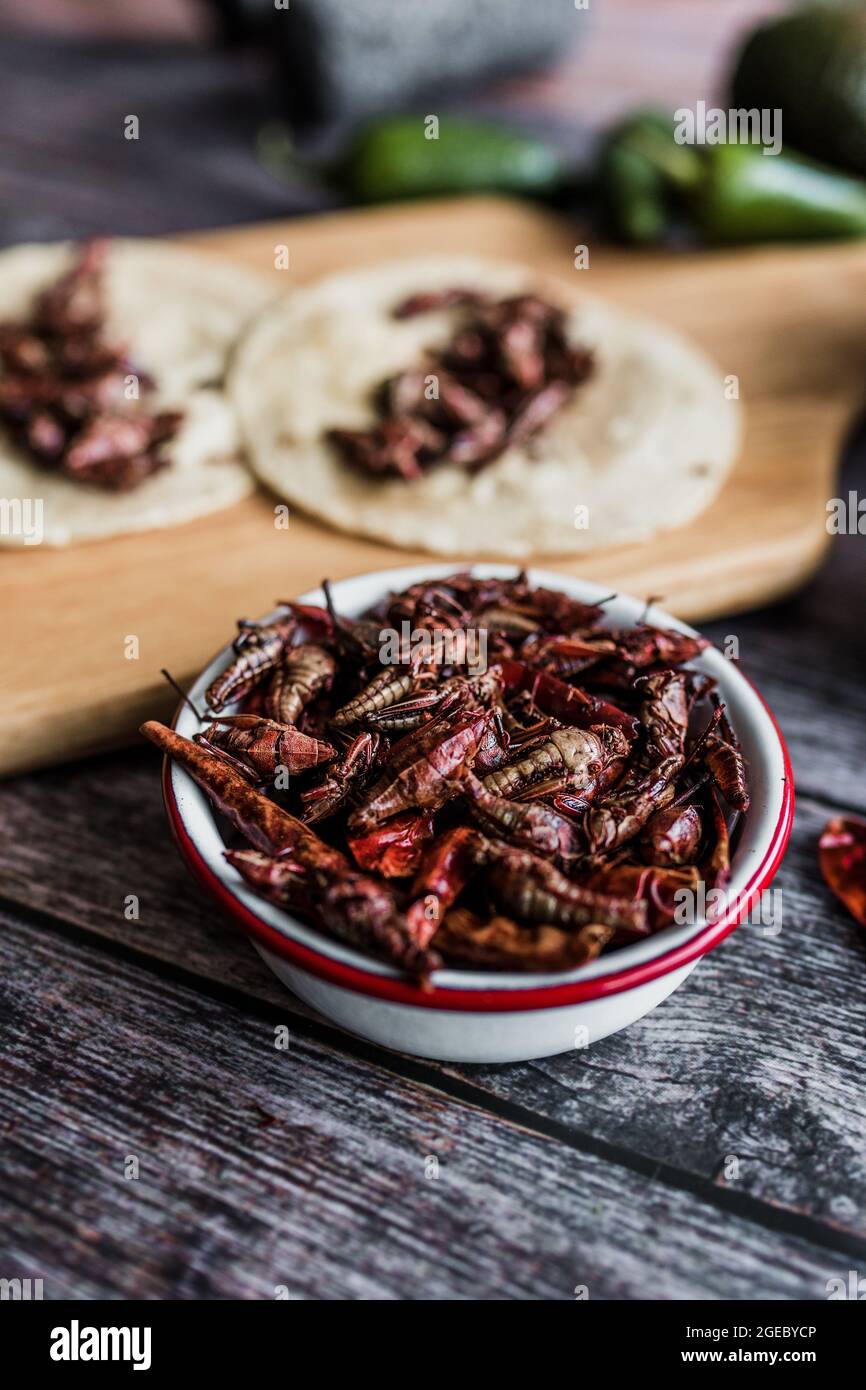Chapulines Food
