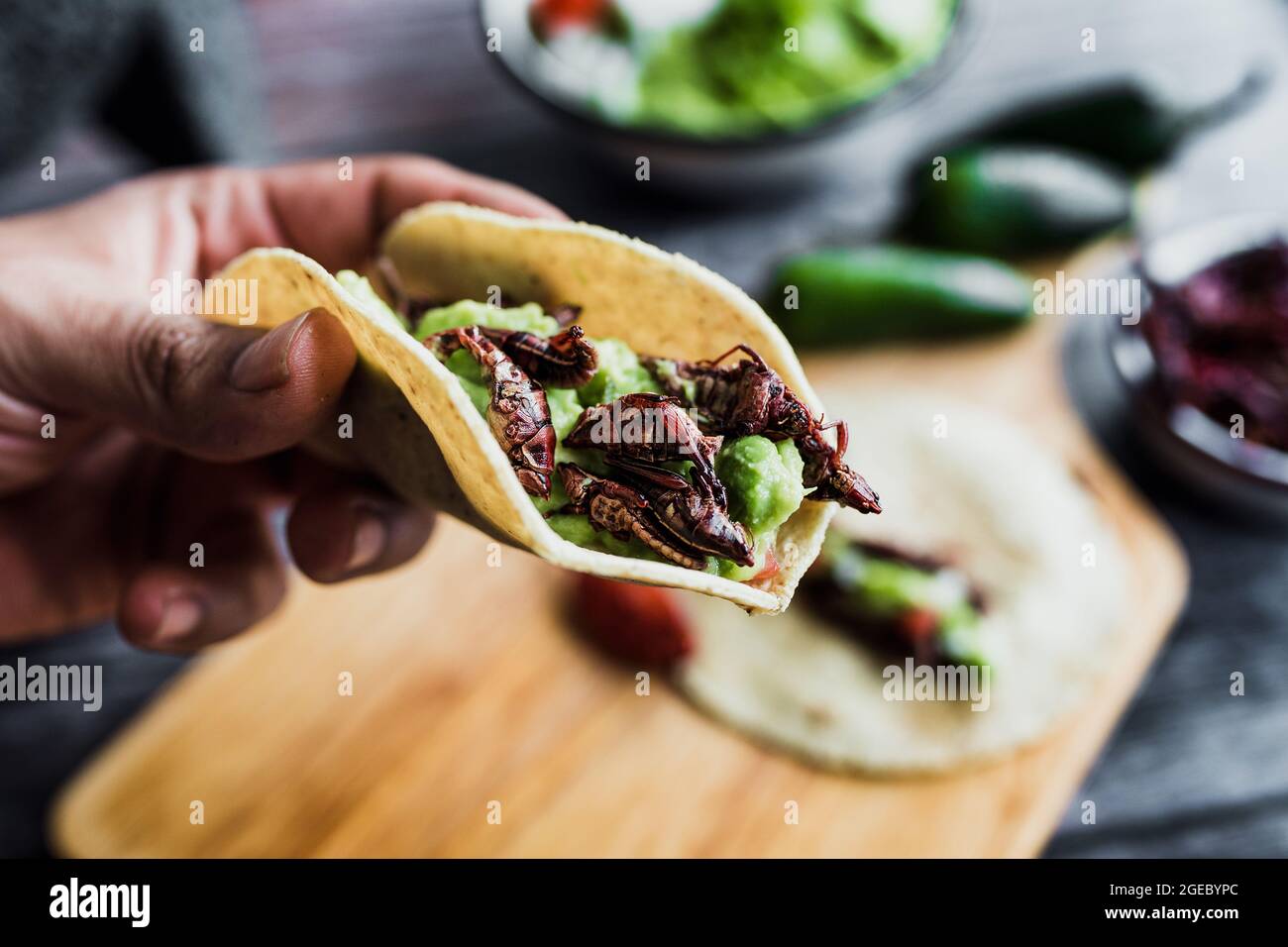 Taco chapulines hi-res stock photography and images - Alamy