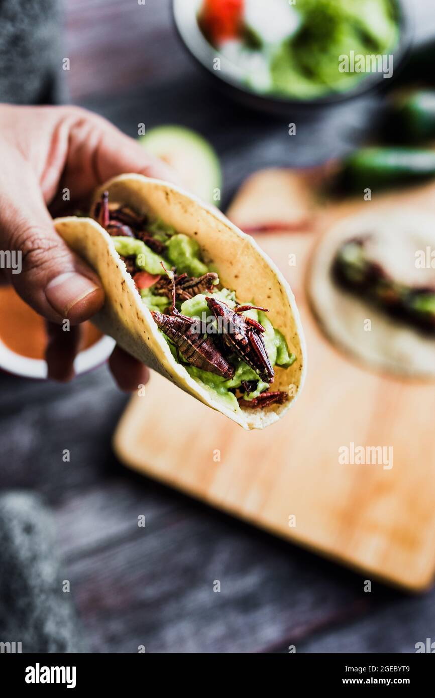 Tacos mexicanos hi-res stock photography and images - Alamy