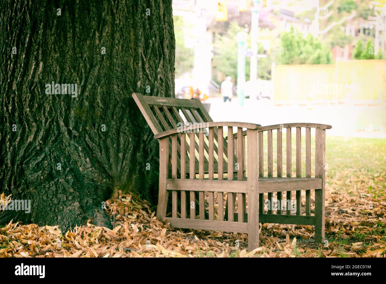 wooden chair under a tree, a quiet spot in the garden to sit Stock ...