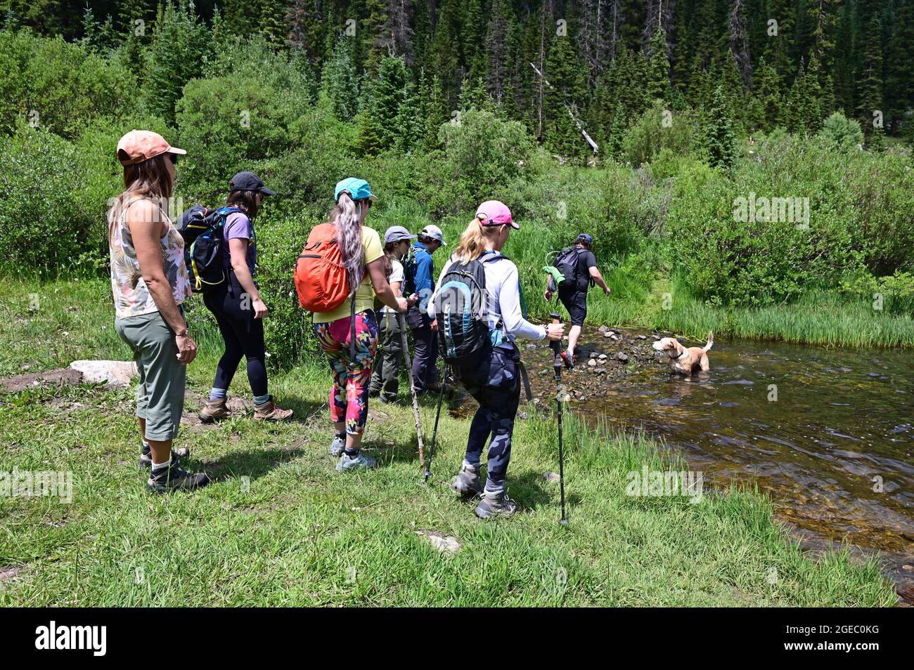 Hikers cross shallow water of Upper Urad Reservoir on Hassell Lake ...