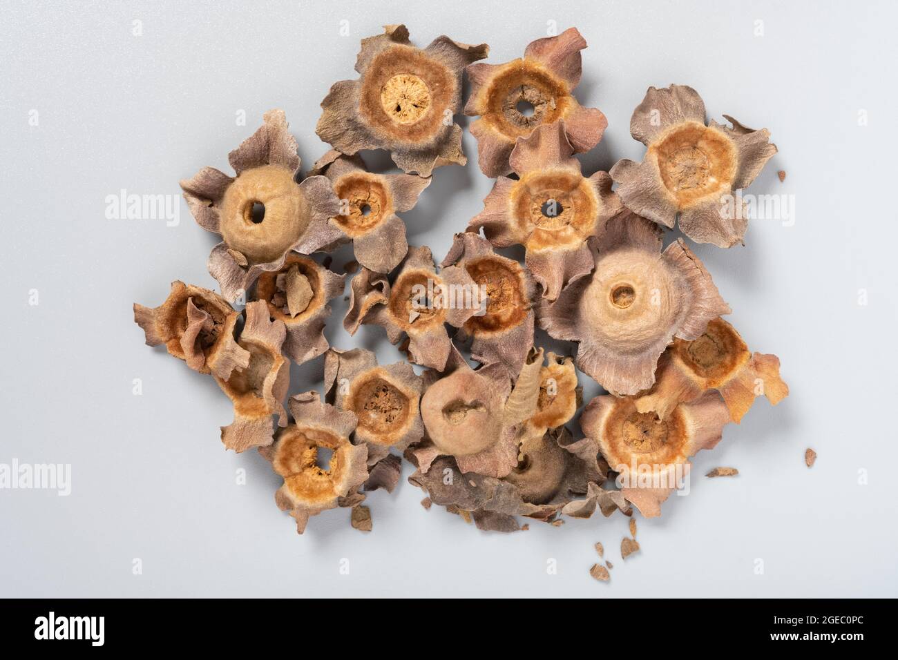 Shidi hi-res stock photography and images - Alamy