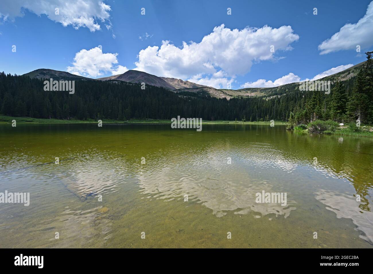 Hassell lake trail hi-res stock photography and images - Alamy