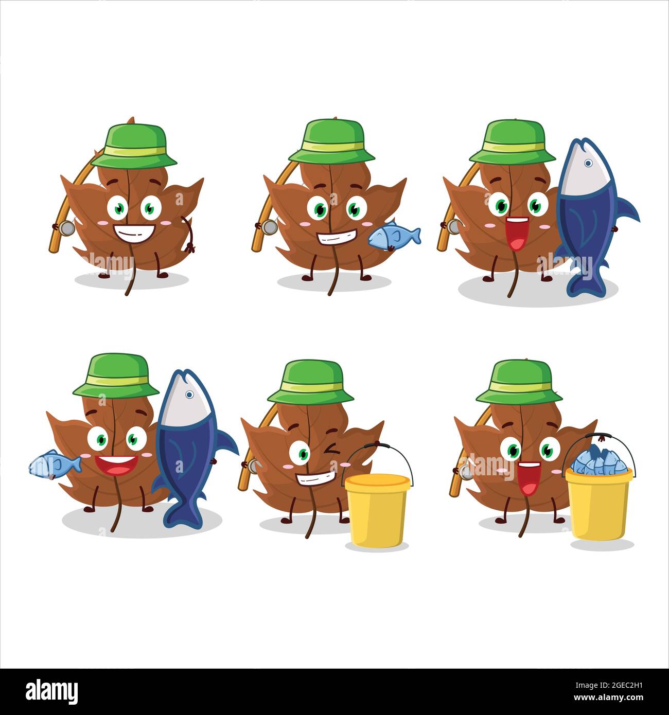 A fisherman maple dried leaf cartoon picture catch a big fish. Vector ...