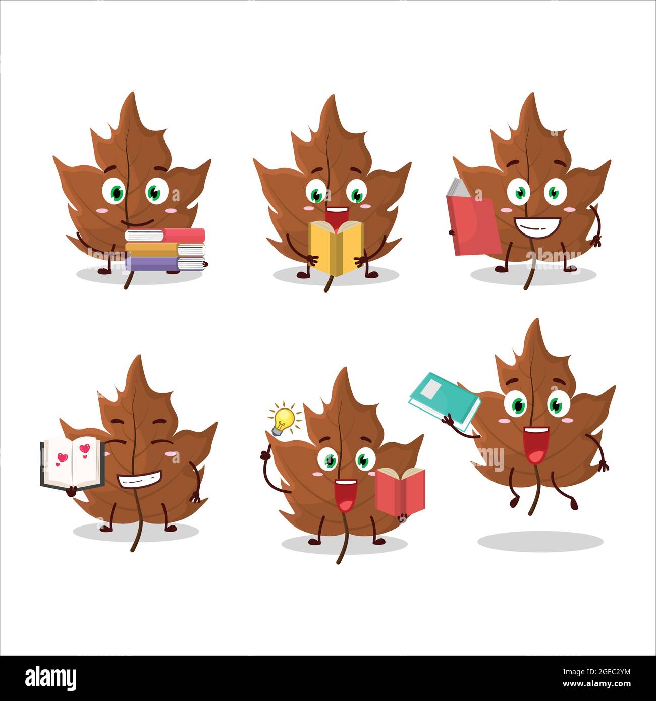 A picture of maple dried leaf cartoon character concept reading an ...