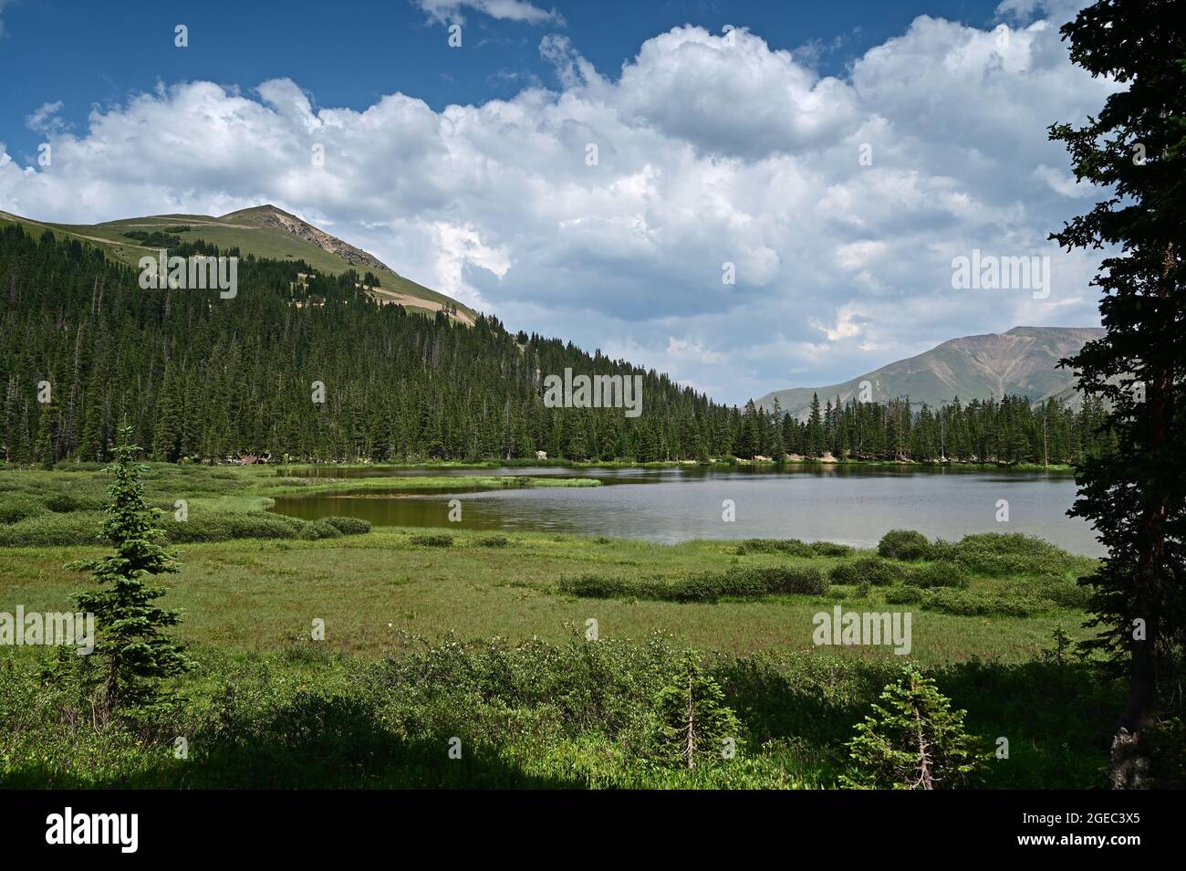 Hassell lake hi-res stock photography and images - Alamy