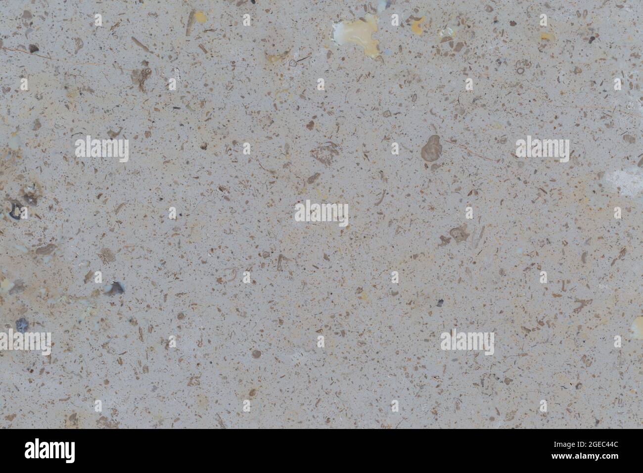 Stone marble with thiny line and texture Stock Photo - Alamy