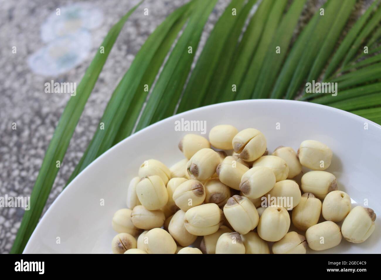 Dried lotus root slices hi-res stock photography and images - Alamy