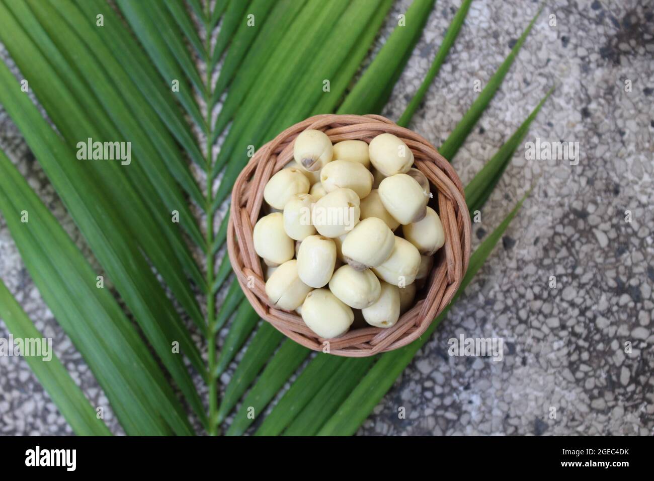 Dried lotus seeds, lotus roots are white and brown in color and are ...