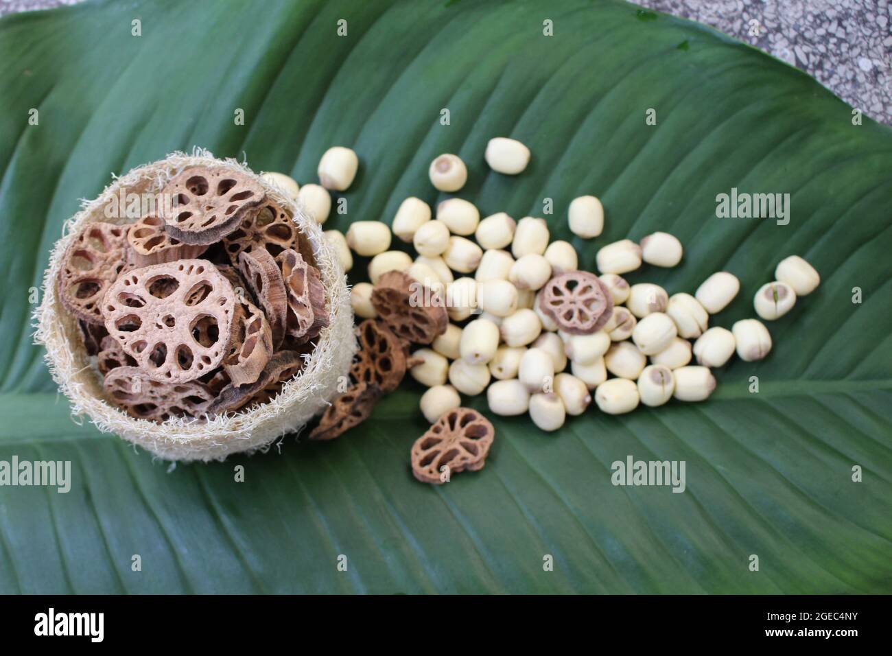 Dried lotus seeds, lotus roots are white and brown in color and are ...