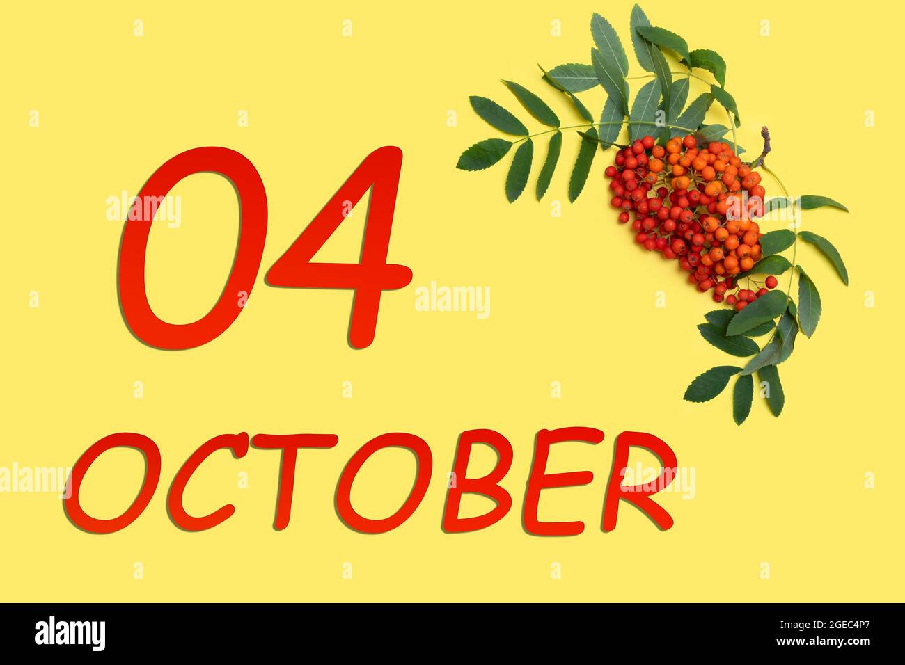 Number 4 leaves hi-res stock photography and images - Alamy