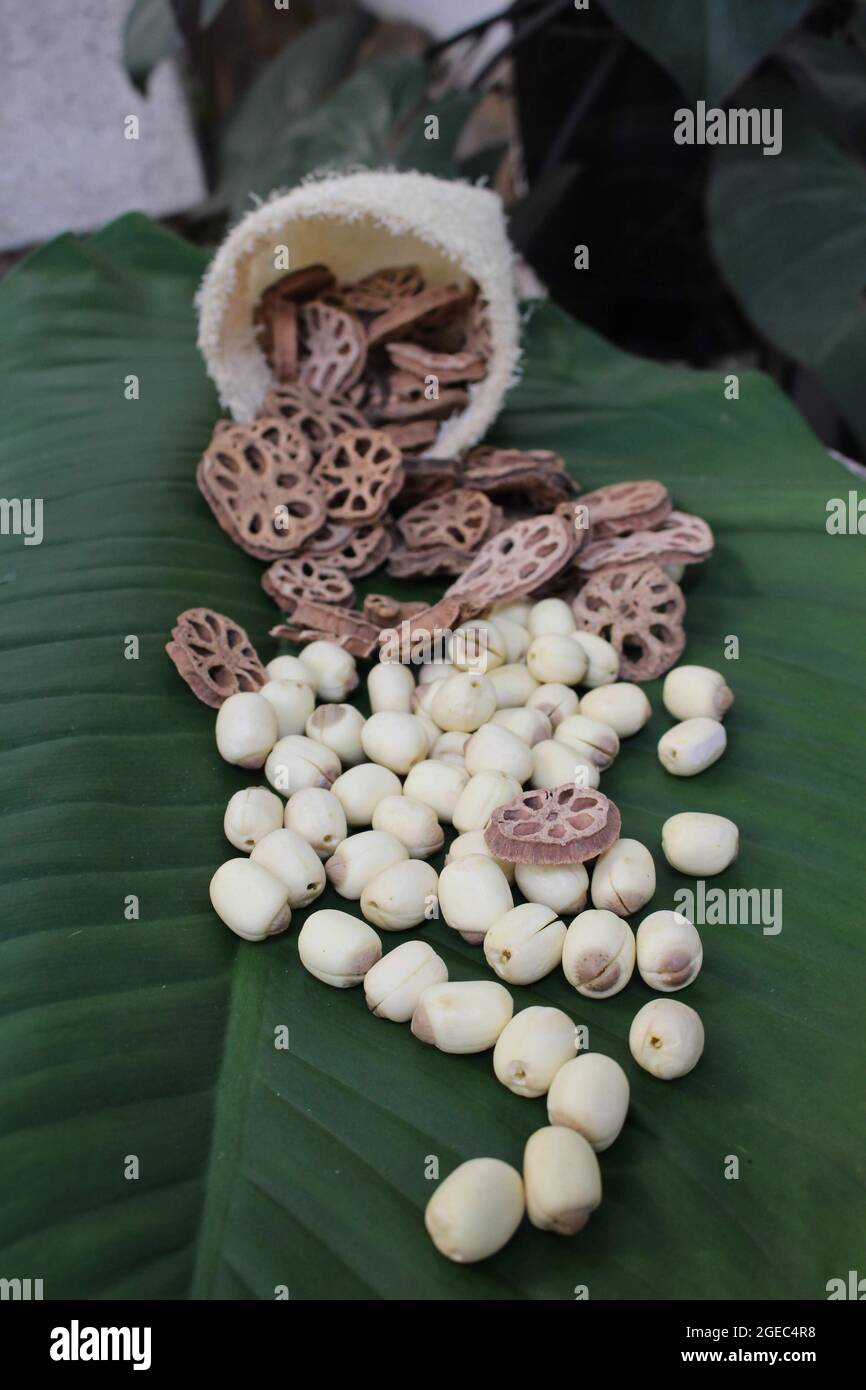Dried lotus seeds, lotus roots are white and brown in color and are ...