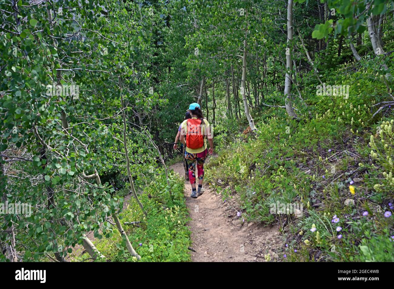 Two young women on Hassell Lake Trail in Arapaho National Forest ...