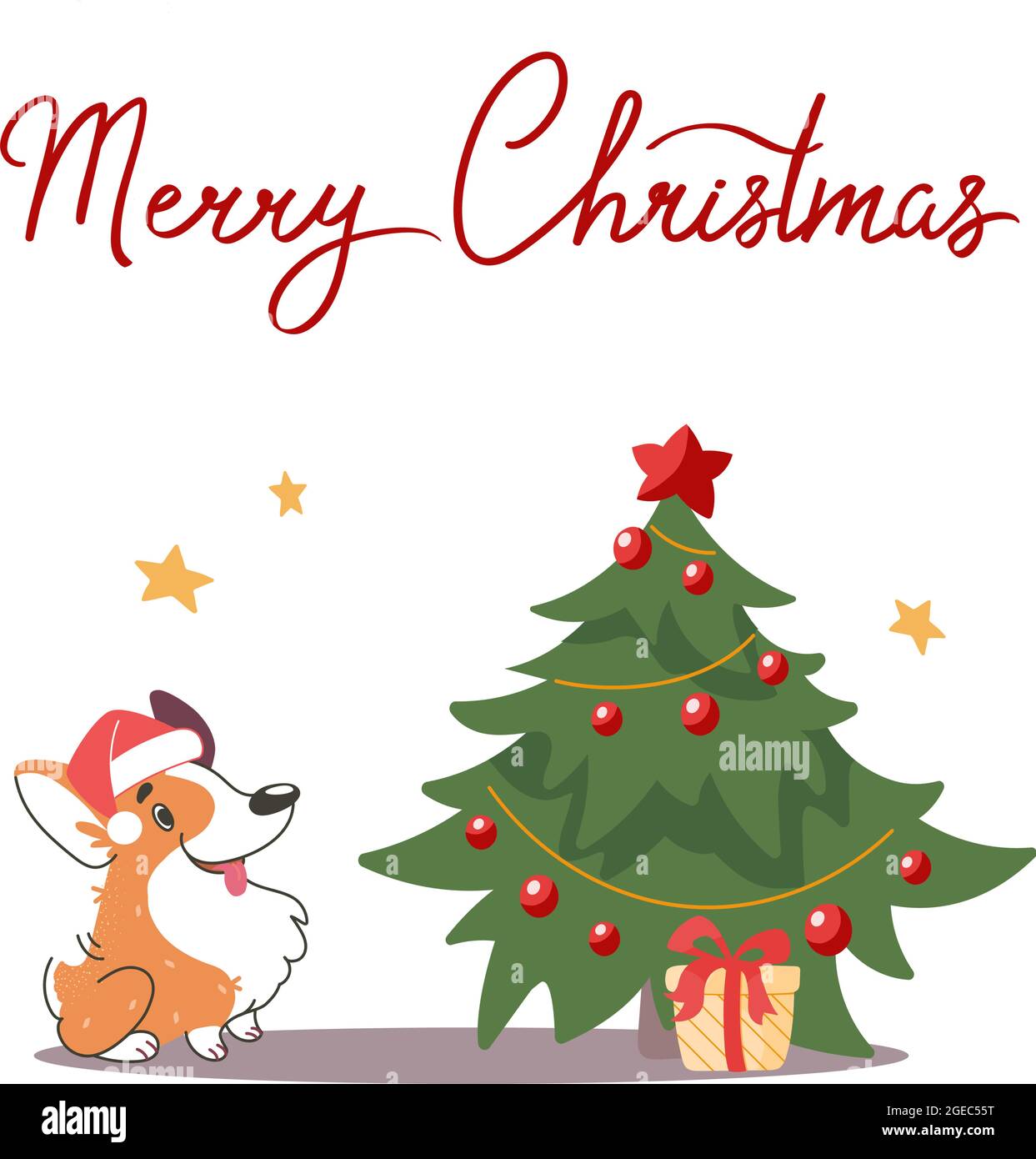 Vector postcard corgi in a santa claus hat, next to a christmas tree ...