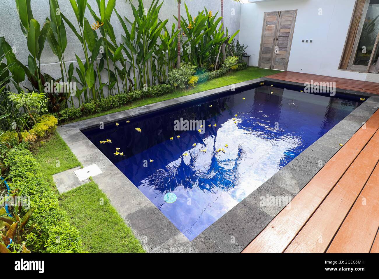 blue swimming pool with exotic wooden terrace in teak natural flooring ...