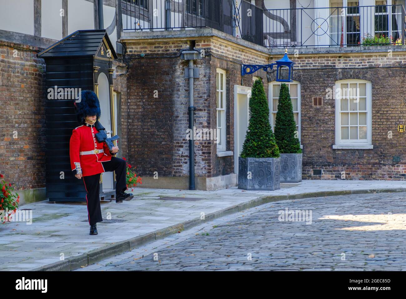 Staycation idea. Coldstream Guards sentry in military dress holding a ...